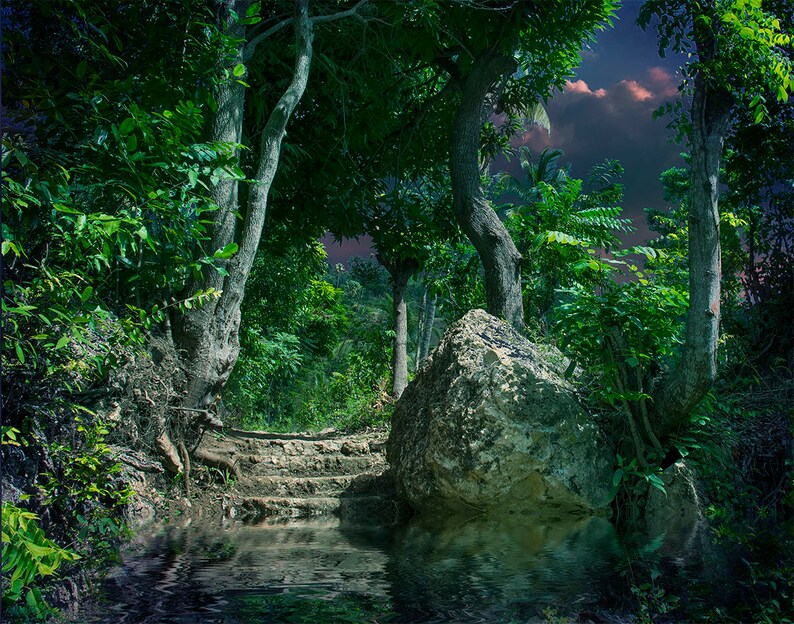 Whimsical Forest Background - Etsy Australia