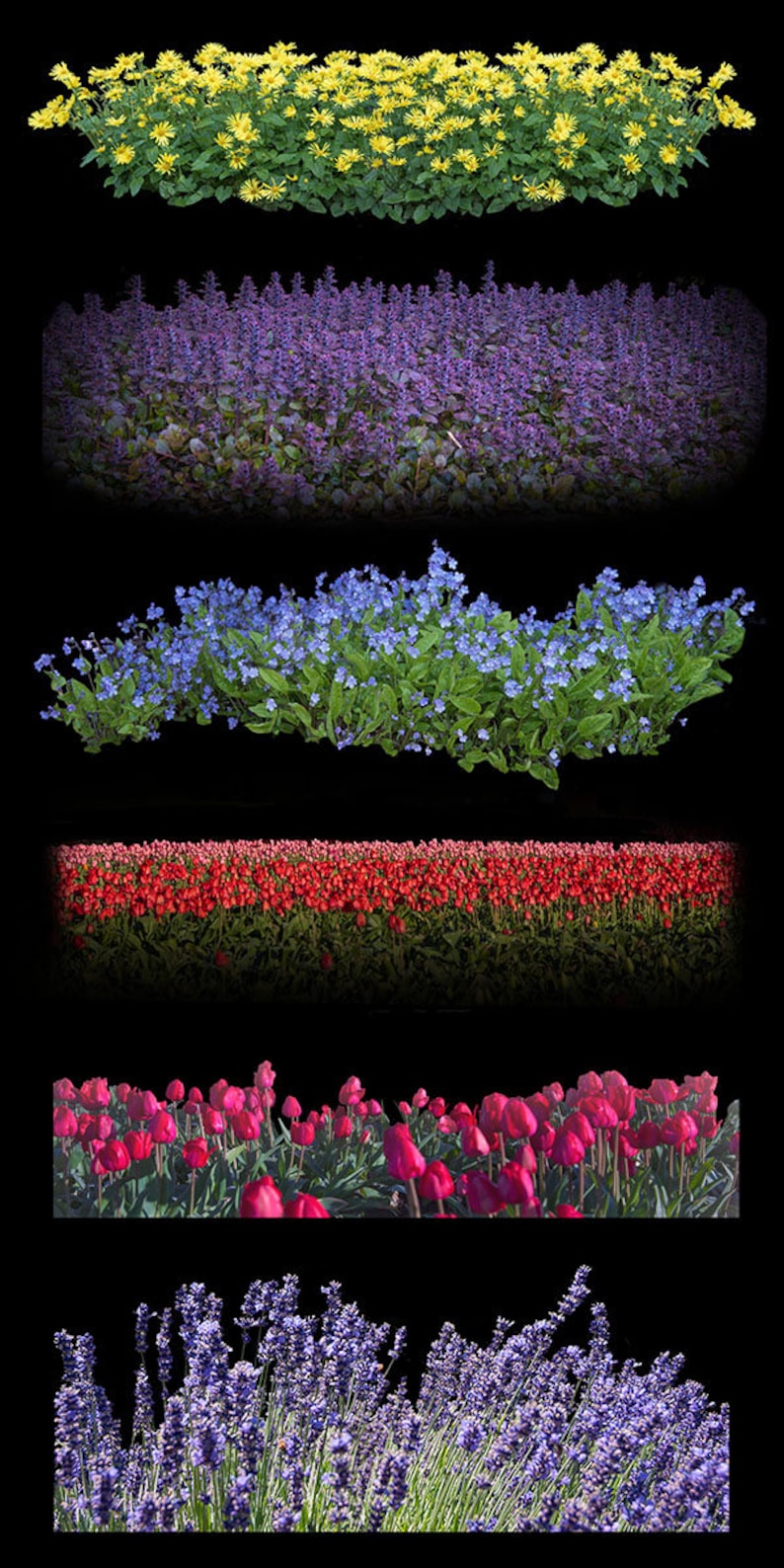 Garden Overlay Pack - Etsy