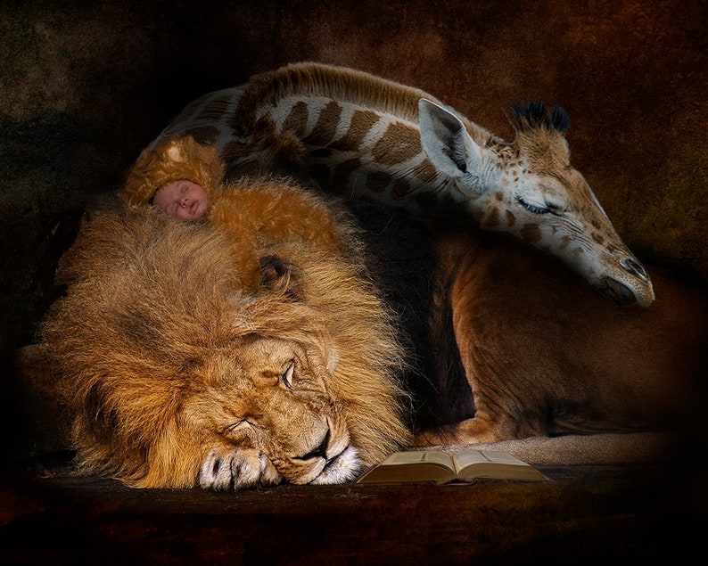 Bedtime Lion and Friends - Etsy