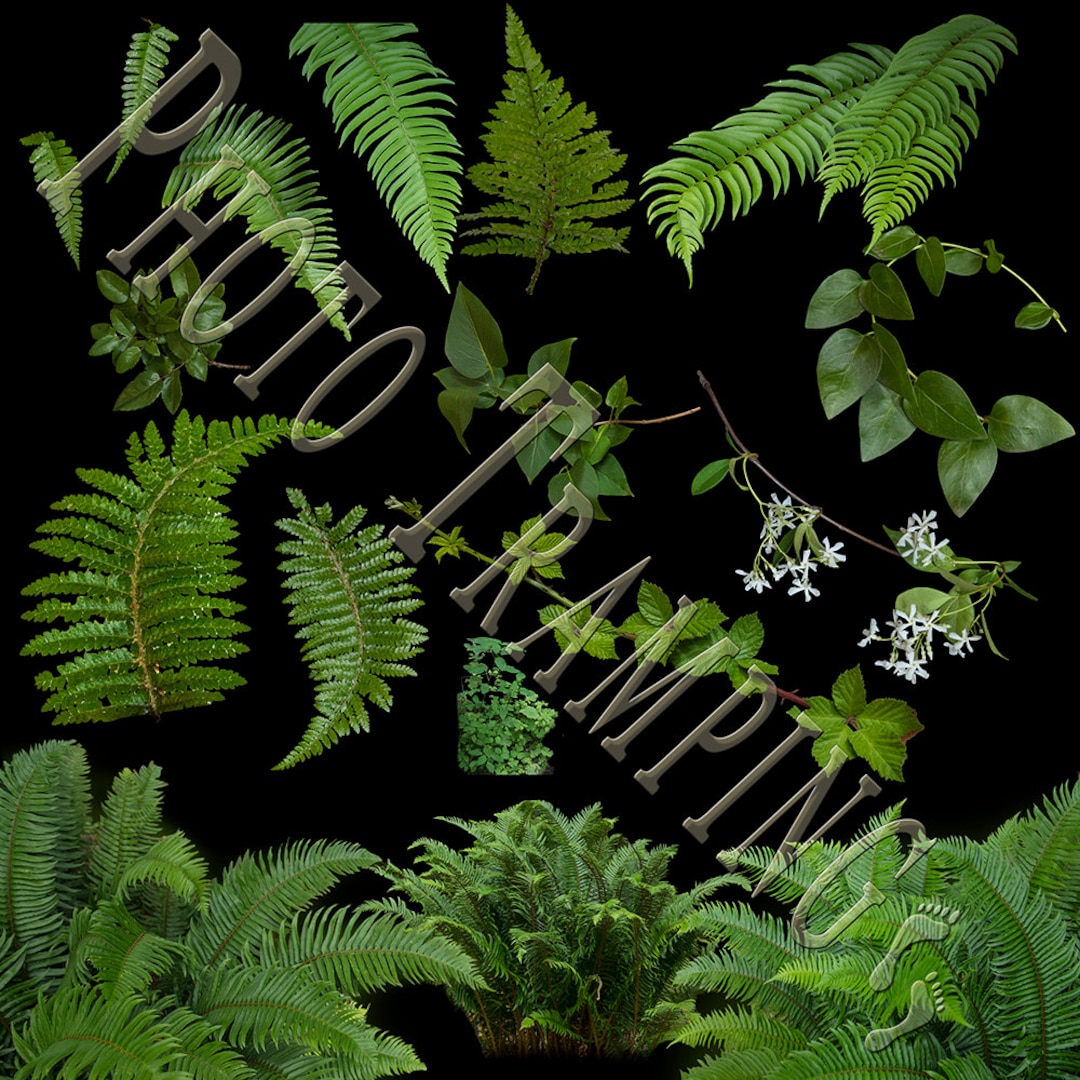 Plant Overlays - Etsy