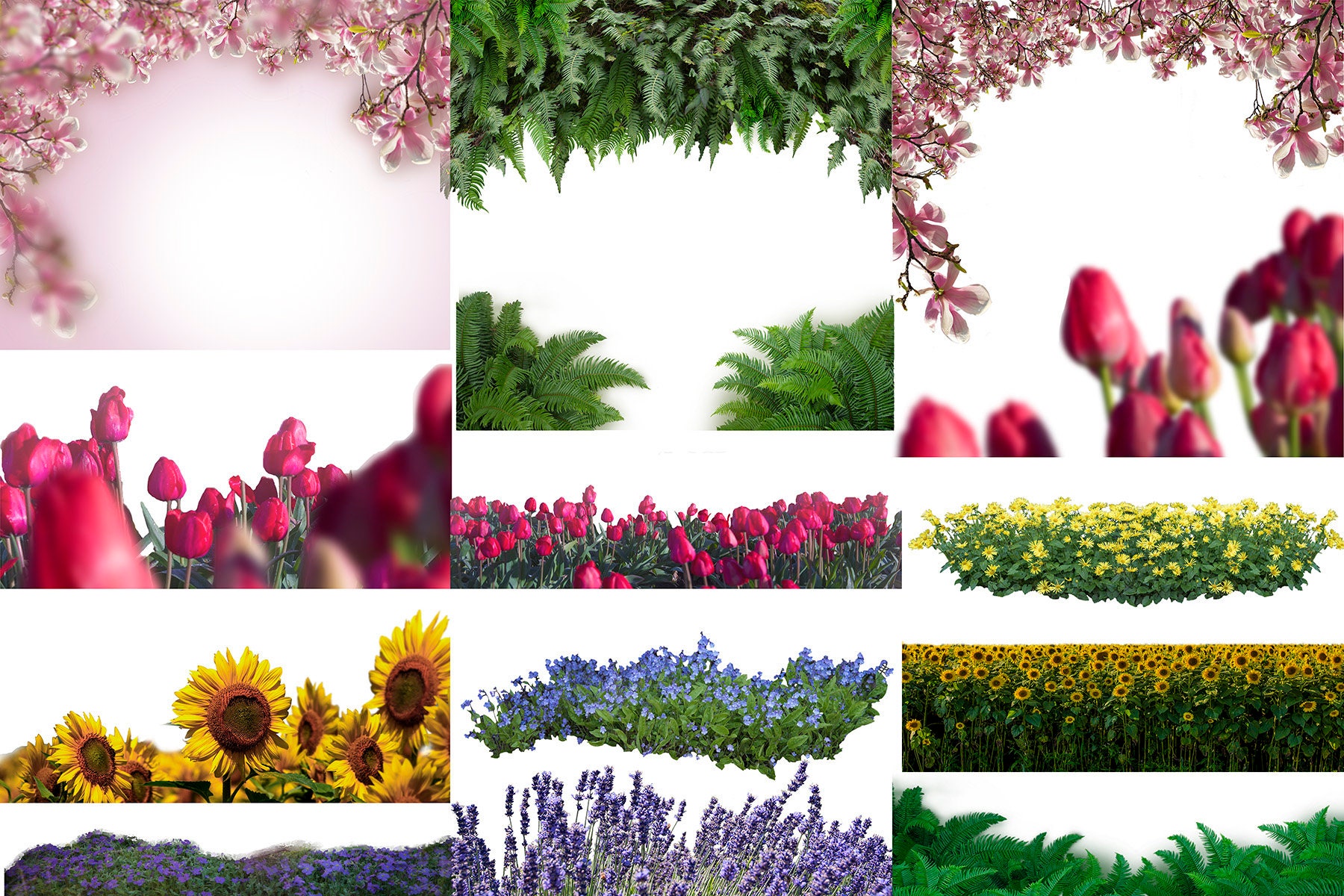 Floral Overlays | Etsy