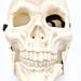 Vintage Skeleton Mask Skull Hinged Jaw Halloween Costume Party Scary ...