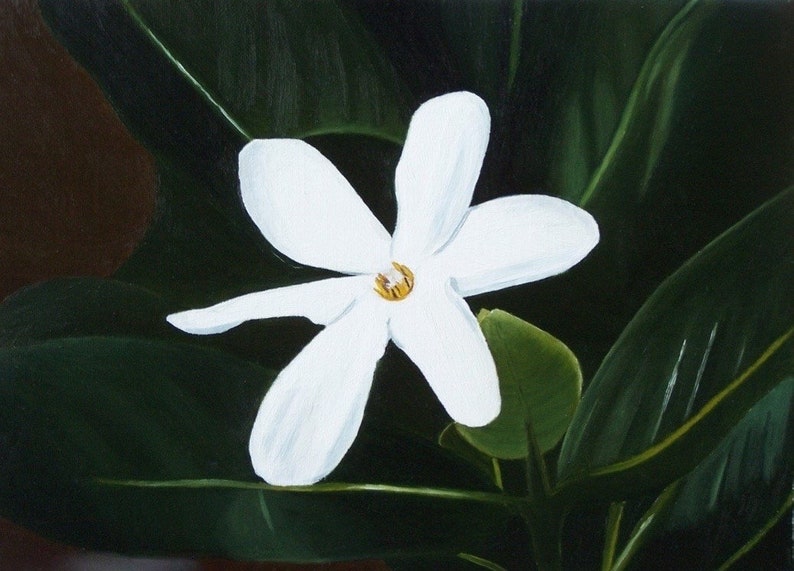 Fleur blanche de Tiaré et ses feuilles vert foncé sur un fond marron ...