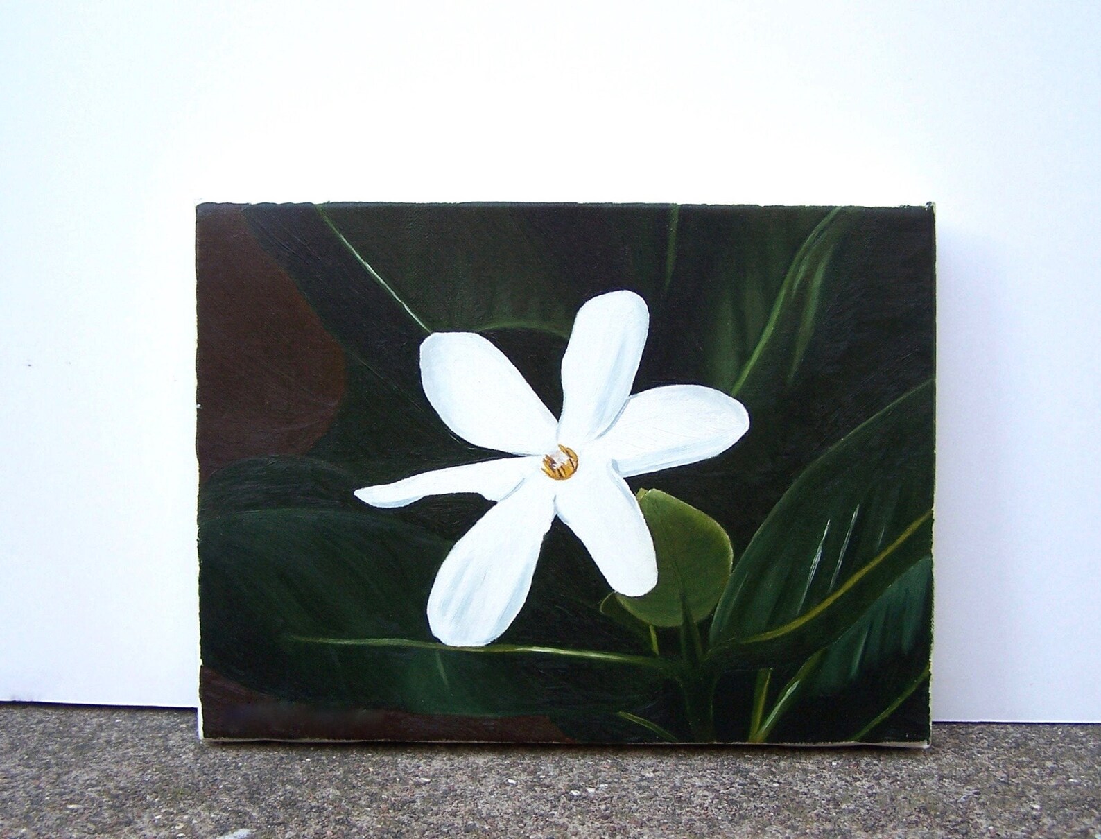 Fleur blanche de Tiaré et ses feuilles vert foncé sur un fond marron ...