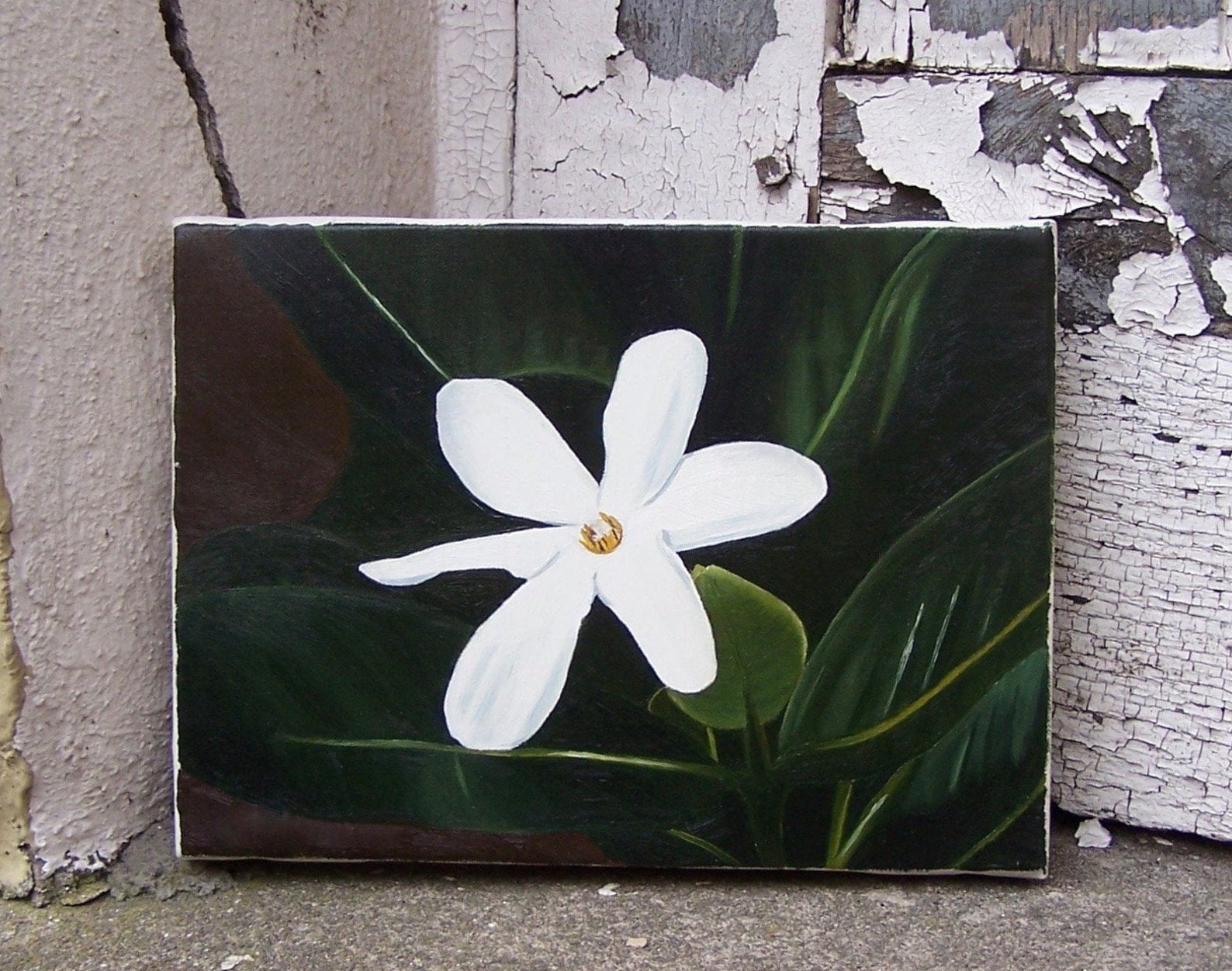 Fleur blanche de Tiaré et ses feuilles vert foncé sur un fond marron ...
