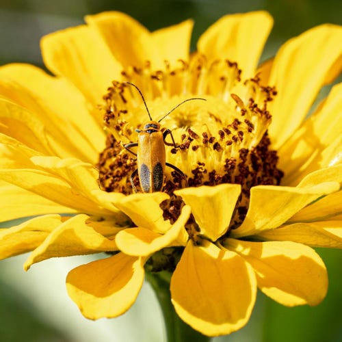 PatrickMcGuirkPhotos - Etsy