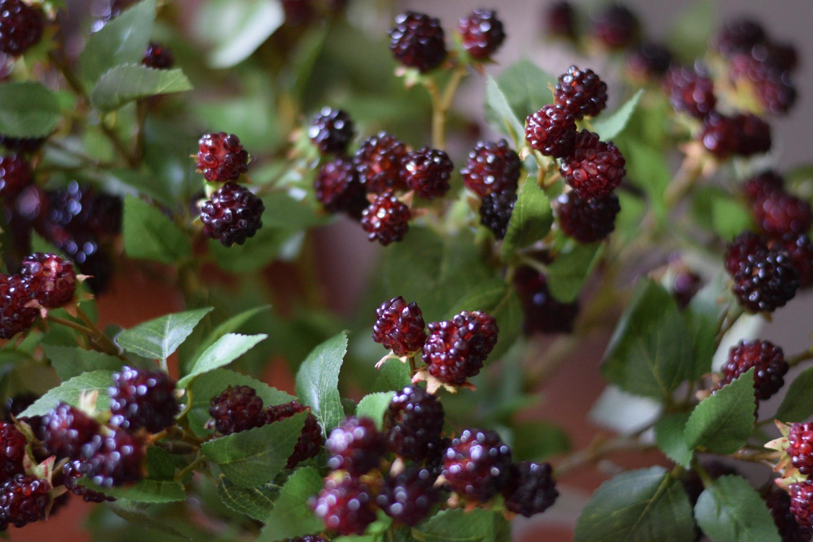 Lifelike Faux Blackberry Stems,artificial Berries - Etsy
