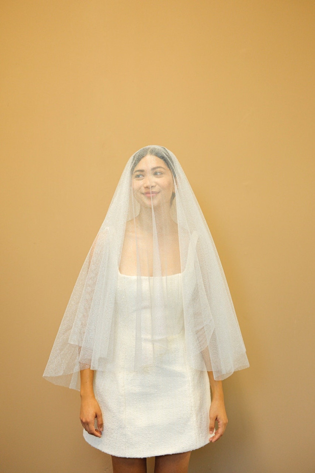 SILVER BRIDAL VEIL Silver Blusher Veil Metallic Veil, Gold Veil ...