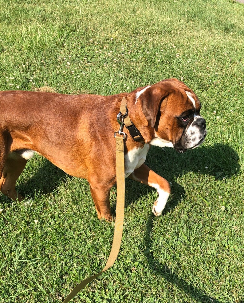 6 ft Dog leash dog tether k9 restraint system.pet | Etsy