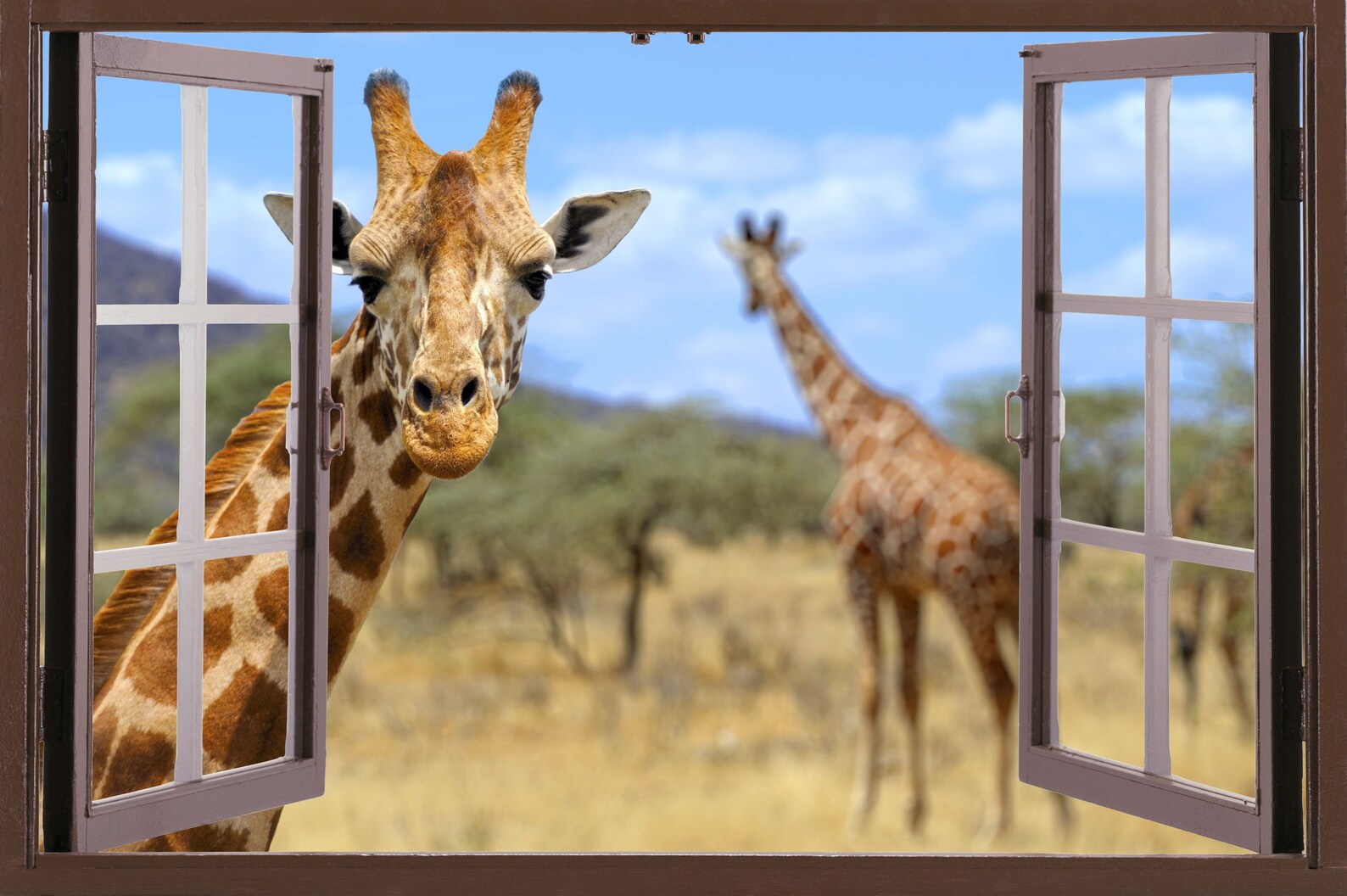 3D Wall Sticker Window Giraffes Behind the Window /fake Window Giraffe ...