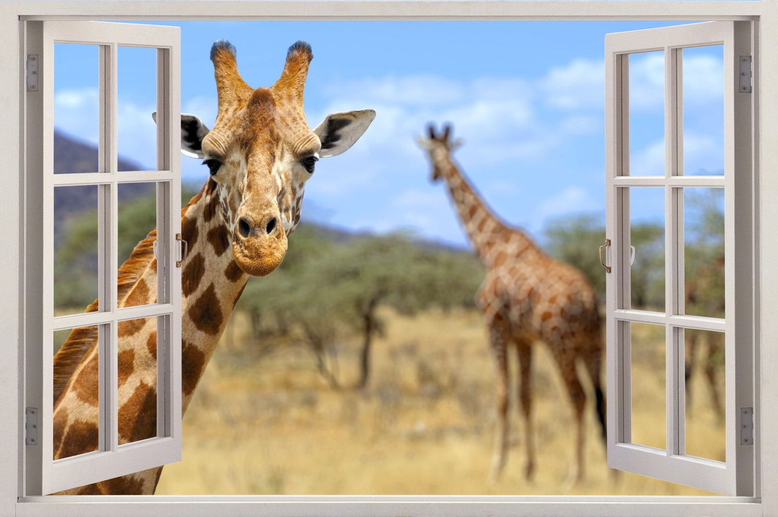 3D Wall Sticker Window Giraffes Behind the Window /fake Window - Etsy