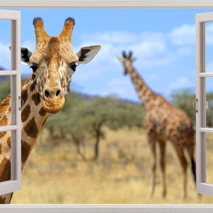 3D Wall Sticker Window Giraffes Behind the Window /fake Window Giraffe ...