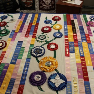 Horse Show Award Ribbon Quilt ***please Do Not Purchase - EXAMPLE ONLY ...