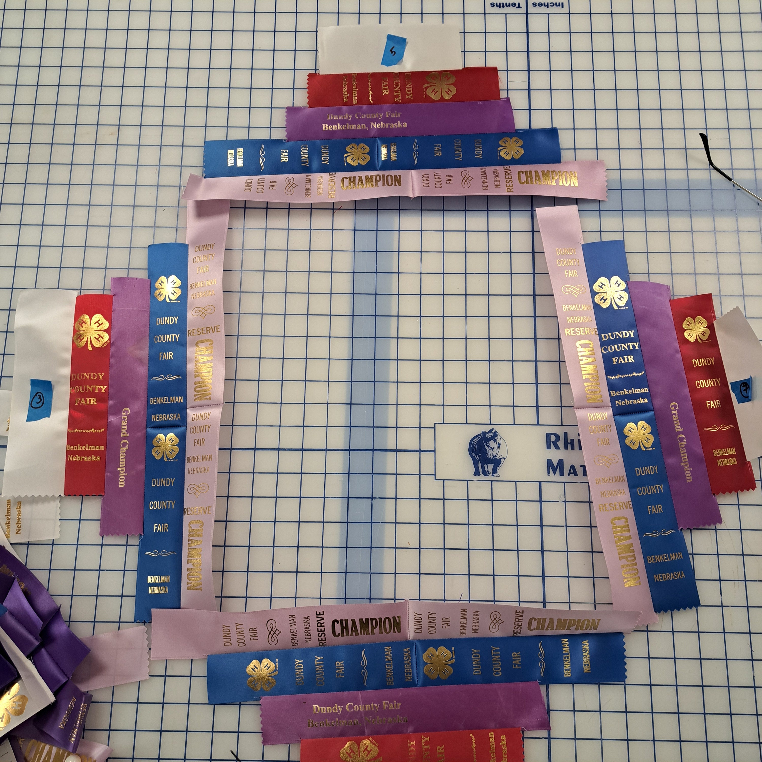 4-H Competition Ribbon Display ***example Only*** - Etsy