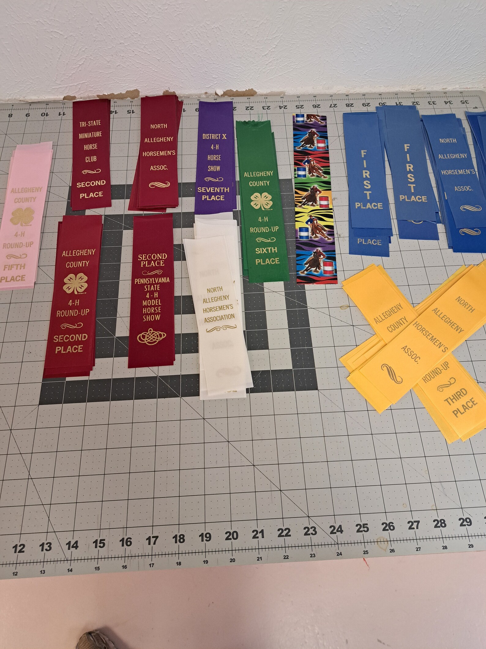 4-H Ribbon Display please Don't Buy This Item Example Only - Etsy