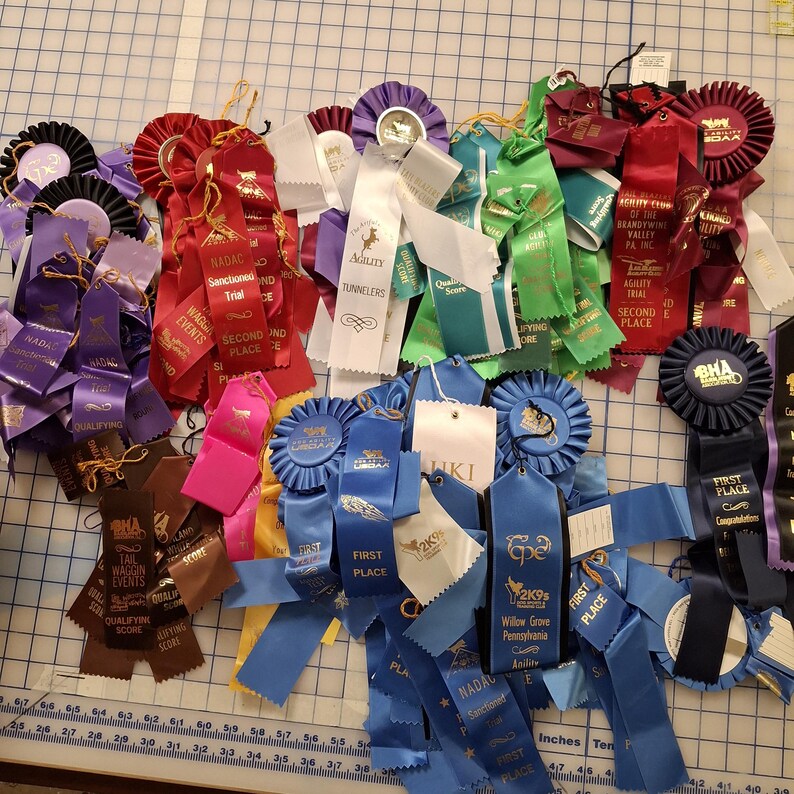 Equestrian Ribbon Display***example ONLY*** - Etsy