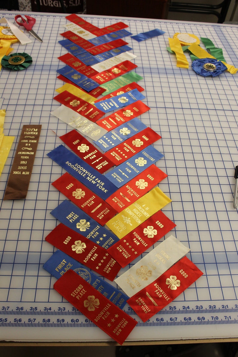4-H Horse Competition Ribbon ***example Only*** - Etsy