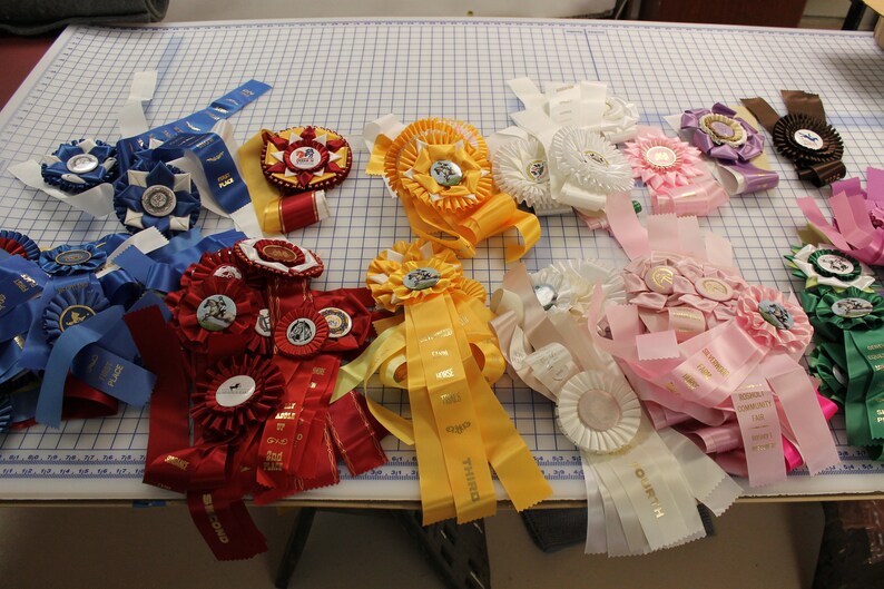Horse Show Award Ribbon Quilt ***please Do Not Purchase - EXAMPLE ONLY ...