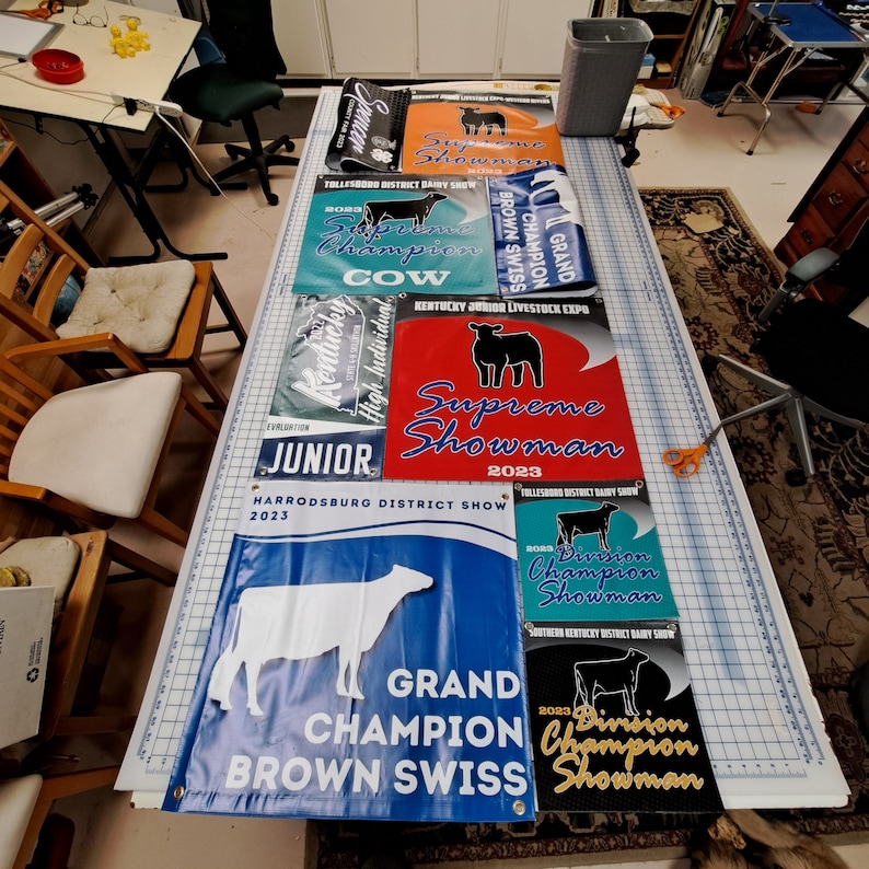 Dairy Cattle 4H Award Banner Display ***example Only*** - Etsy