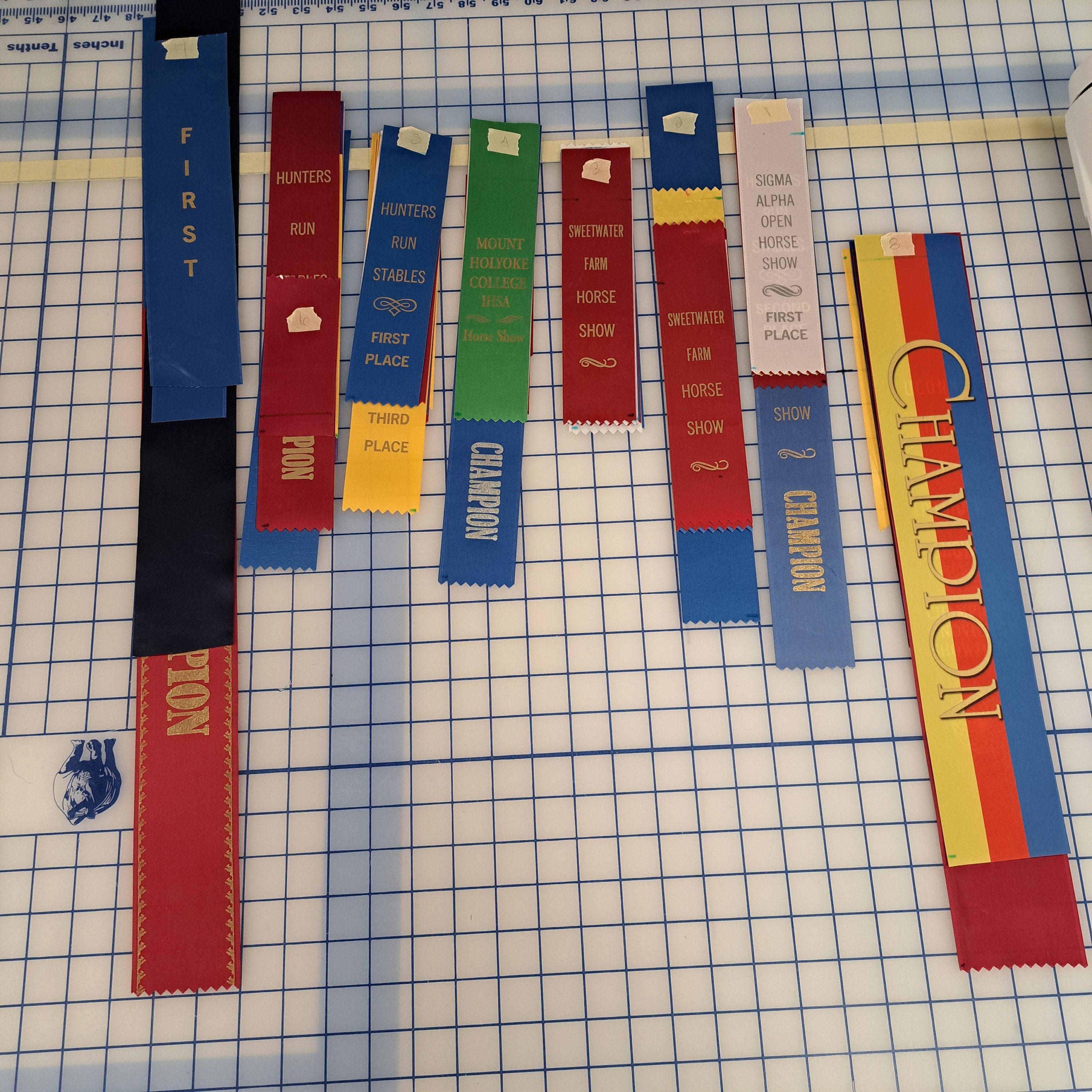 Custom Horse Show Ribbon Quilt ***examples Only*** - Etsy