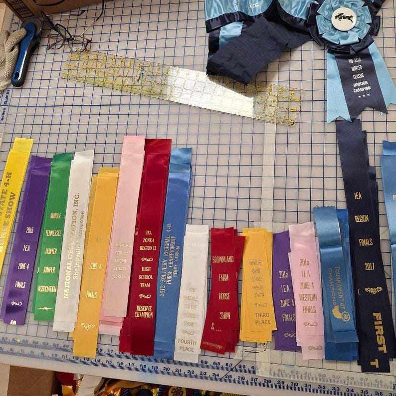Horse Show Ribbon Quilt ***example Only*** - Etsy