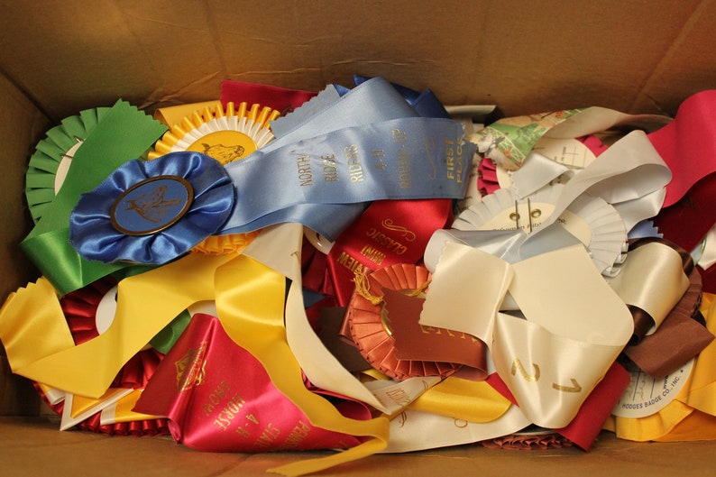 Horse Show Award Ribbon Quilt ***please Do Not Purchase - EXAMPLE ONLY ...