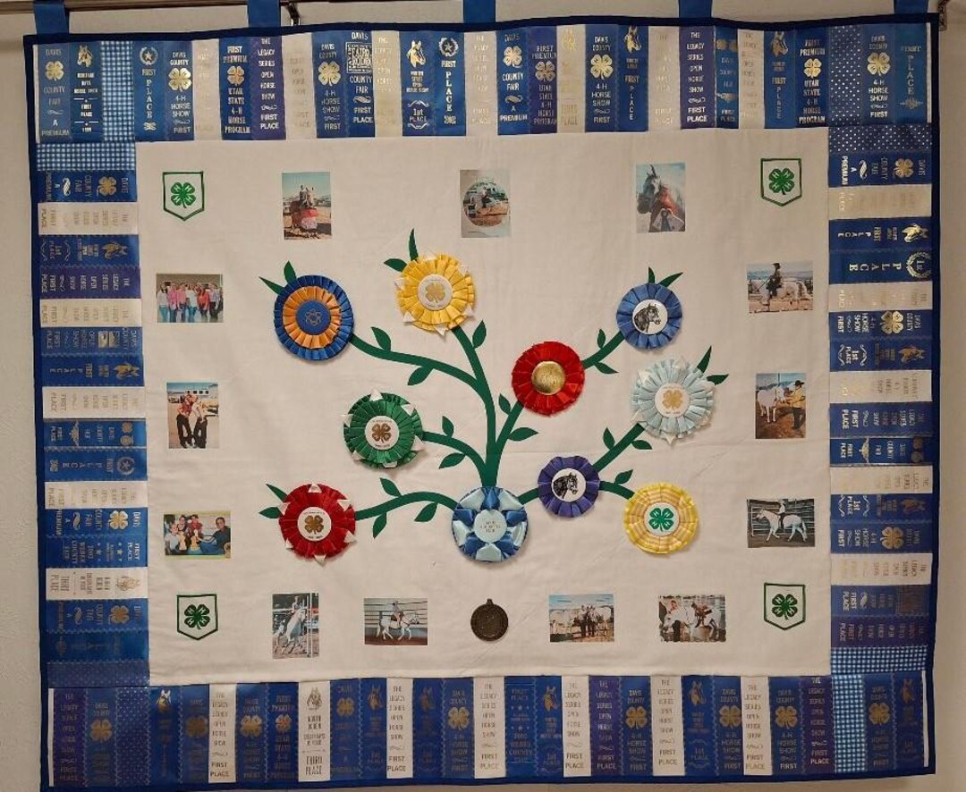 4H Horse Ribbon Quilt ***example Only*** - Etsy