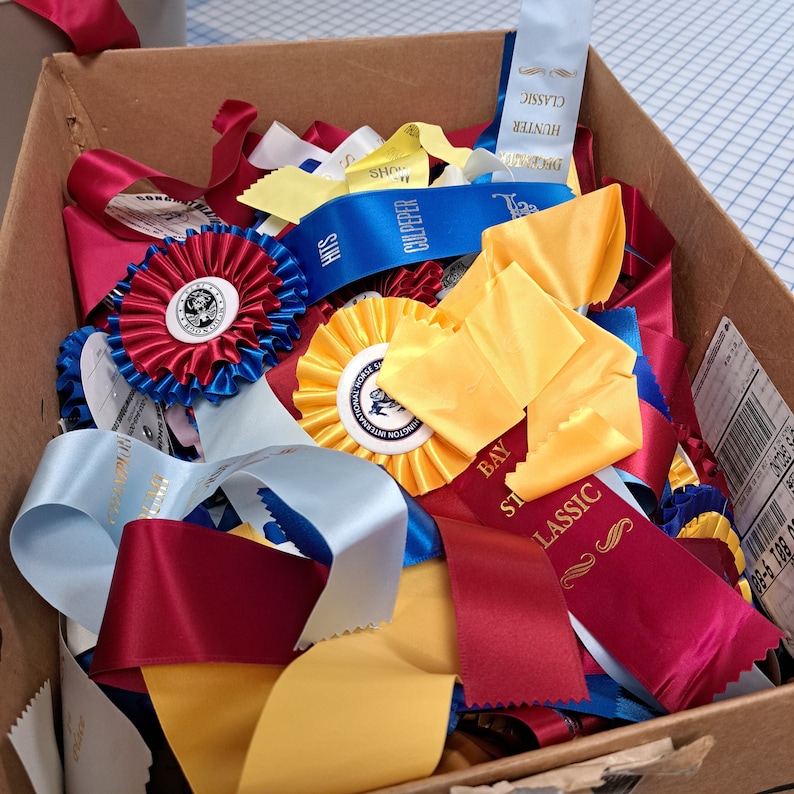 Horse Show Ribbon Display ***example Only*** - Etsy