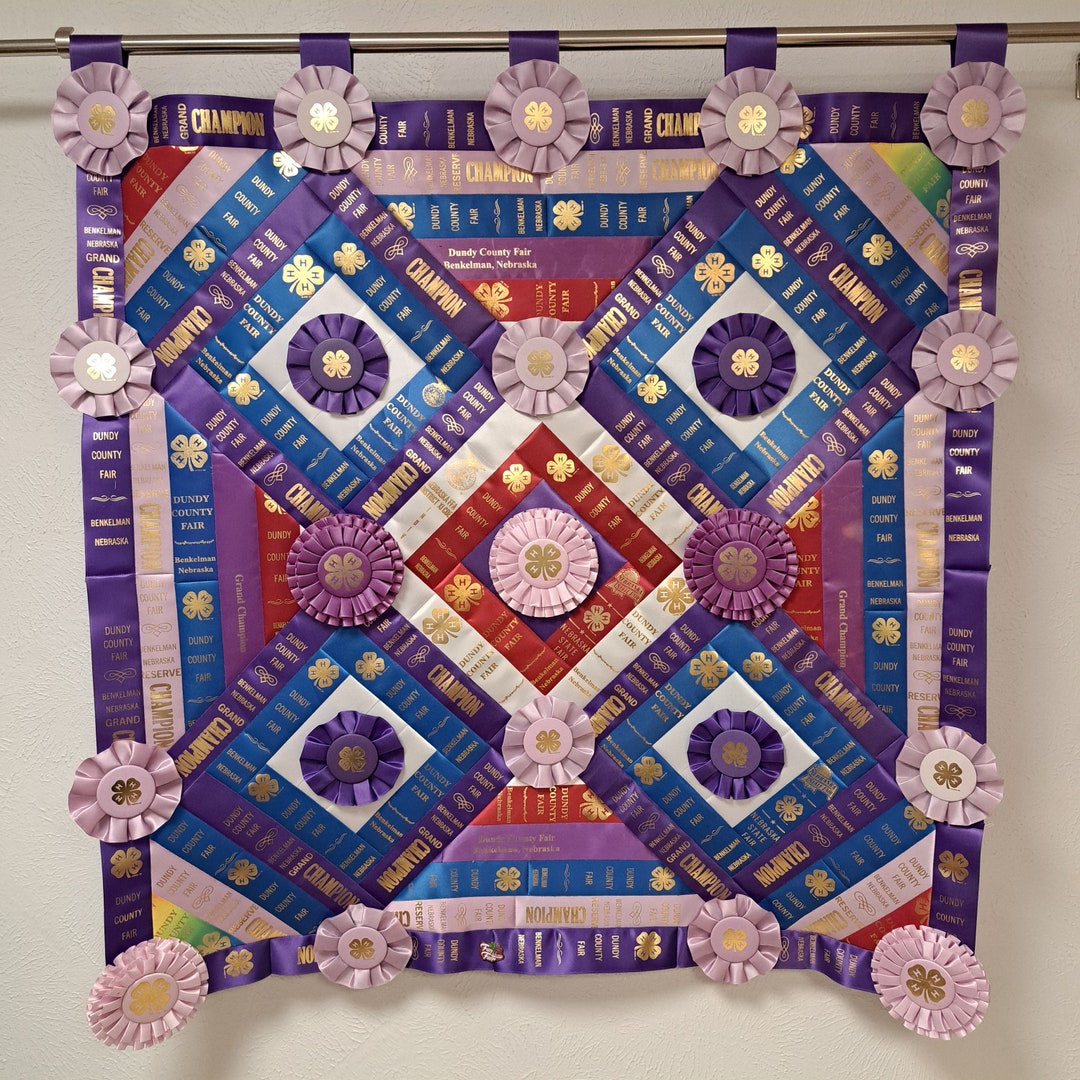 4-H Competition Ribbon Display ***example Only*** - Etsy