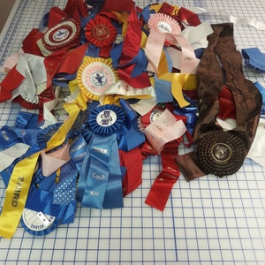 Dressage Award Ribbon Quilt ***EXAMPLE ONLY*** - Etsy