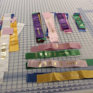 Horse Show Award Ribbon Quilt ***please Do Not Purchase - EXAMPLE ONLY ...