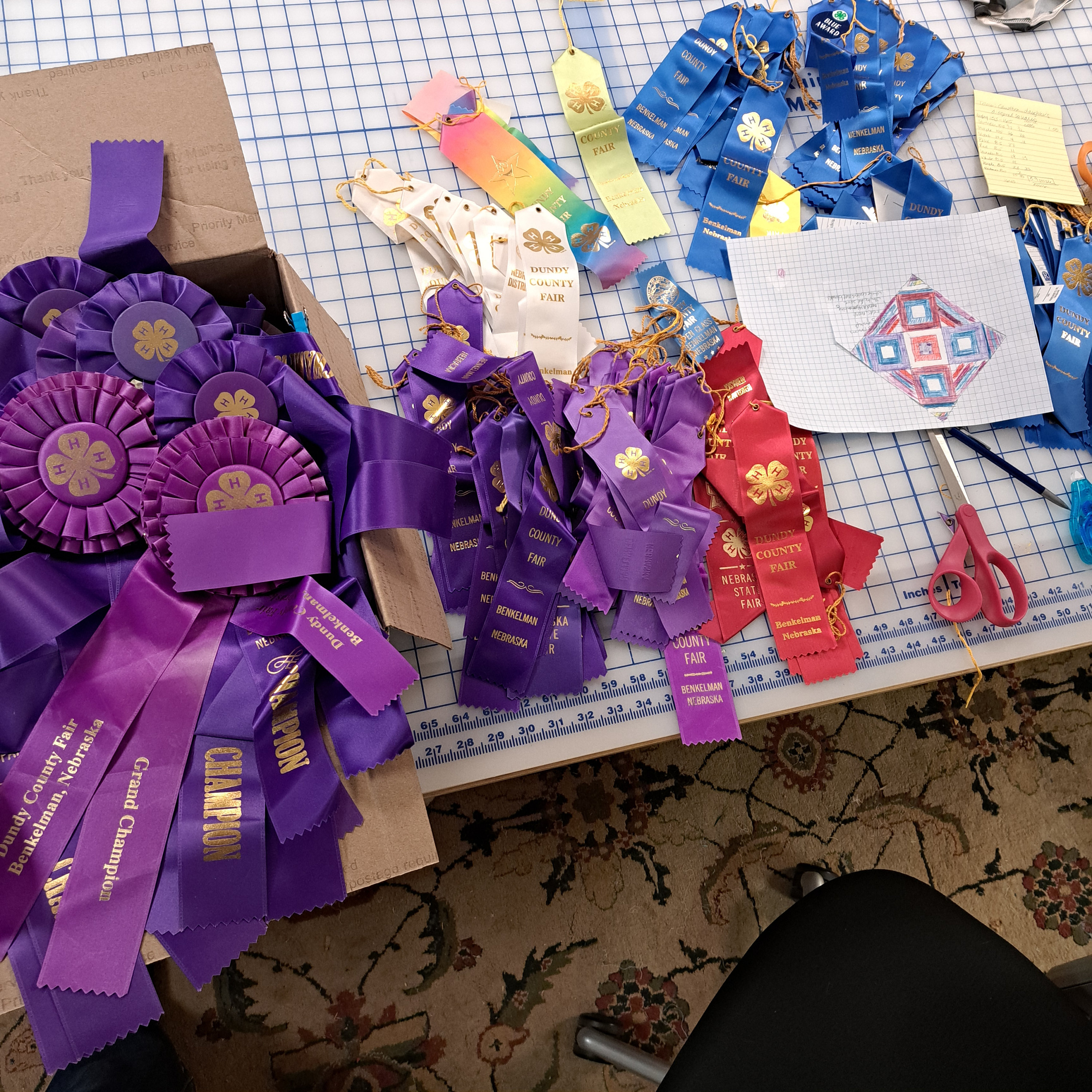 4-H Competition Ribbon Display ***example Only*** - Etsy