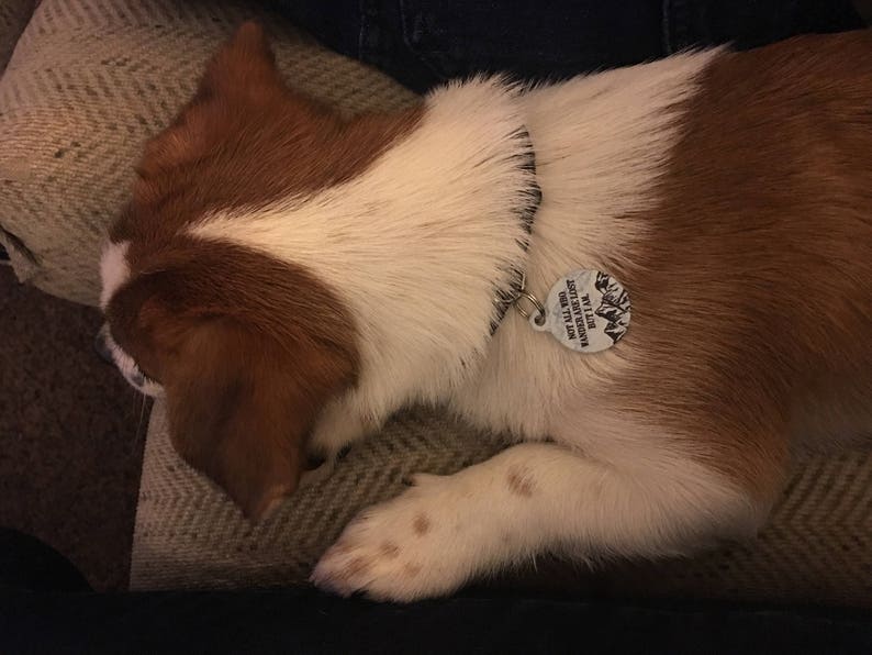 not-all-who-wander-are-lost-dog-tag-for-dogs-pet-id-tag-for-etsy