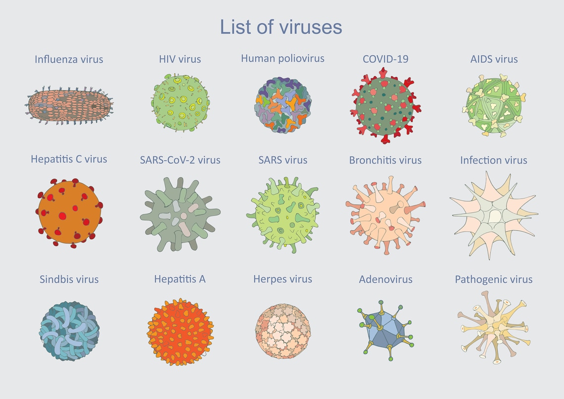 Print science Medical Art Différents types de virus Liste de | Etsy