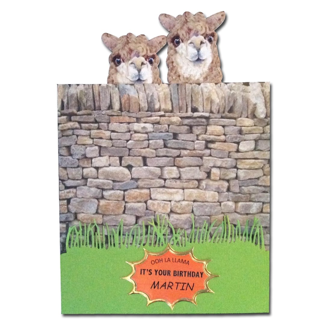 Personalised Llama Birthday Card- Handcrafted - Alpaca - Etsy
