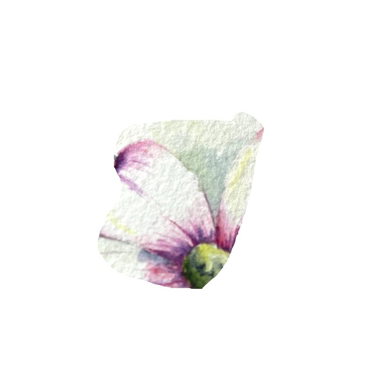 Peony Wall Prints - Etsy