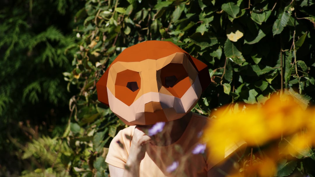 Meerkat Mask Pattern - Papercraft DIY - Download, Print and Make Your ...