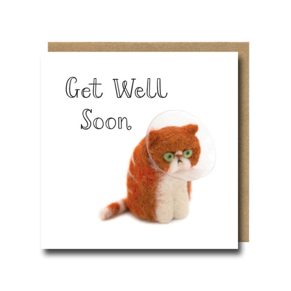 Get Well Soon Grumpy Cat