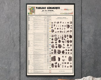 Geological Timeline Print - Etsy