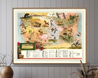 Map of Usa? - Etsy