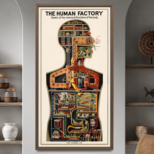 Human Body Vintage Industrial Poster Human Factory Print Mid | Etsy