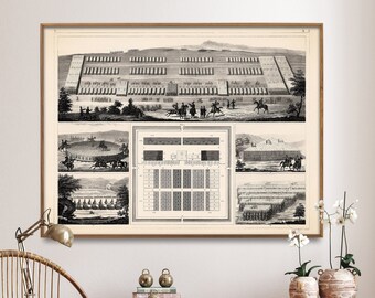 Roman Army Poster - Etsy