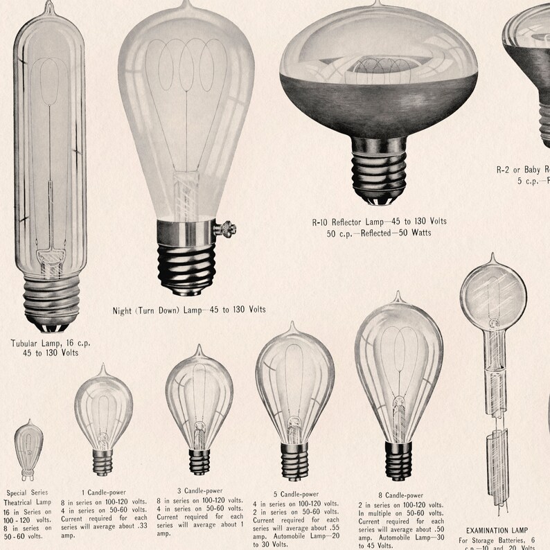 Edison Lamps Vintage Chart Print Tall & Narrow Light Bulbs - Etsy