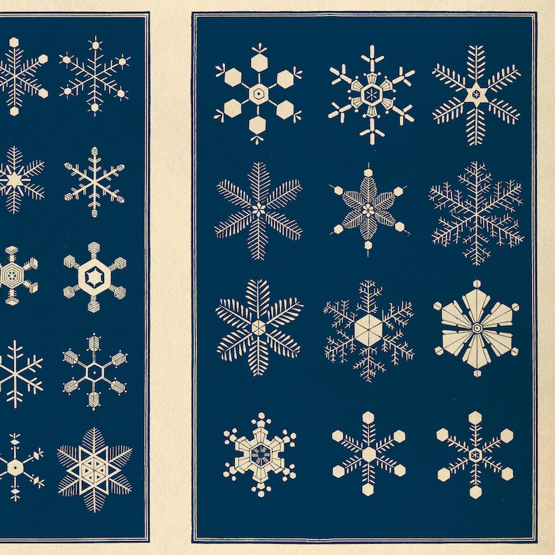 Snowflakes Vintage Chart Print Large Snowflakes Poster - Etsy