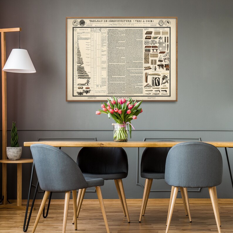 Silkworms Cultivation Vintage Chart Print Sericulture Poster - Etsy