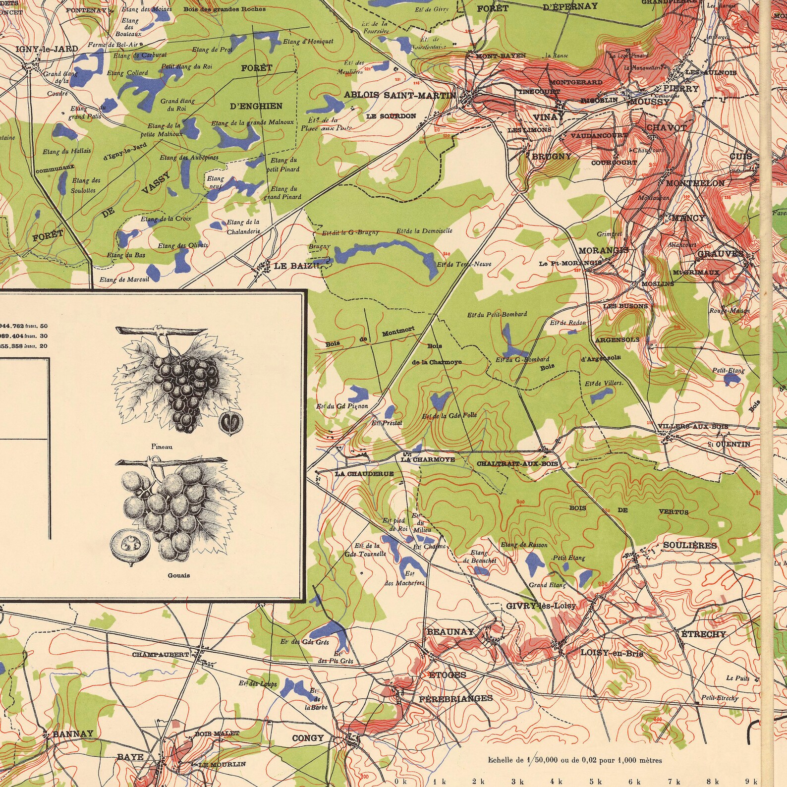 Champagne Wine Map Vineyards And Wine-Culture France Wine | Etsy