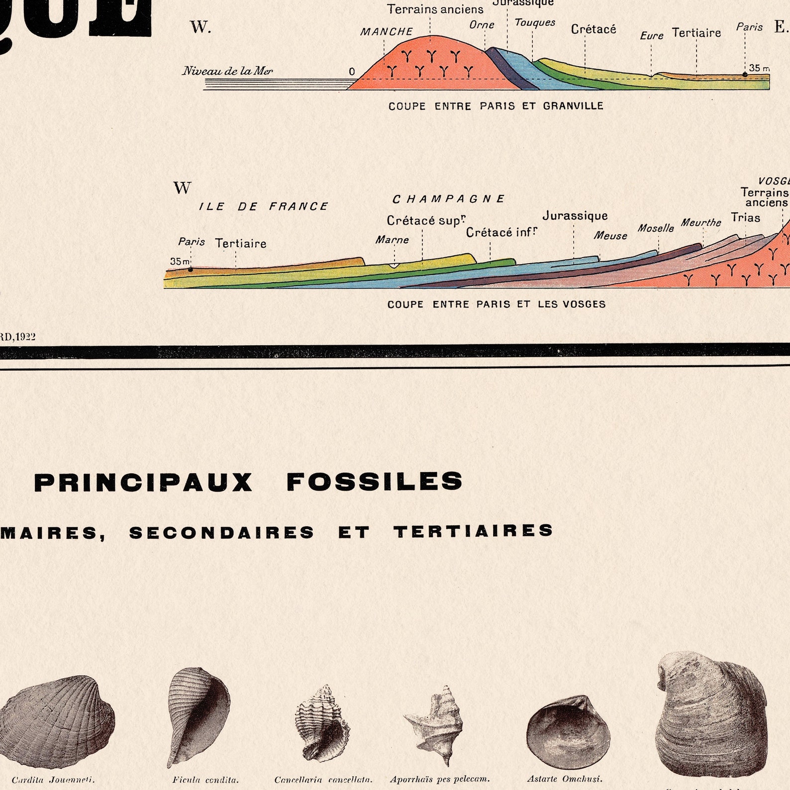Geological Vintage Chart Print Geology & Fossils Timeline | Etsy