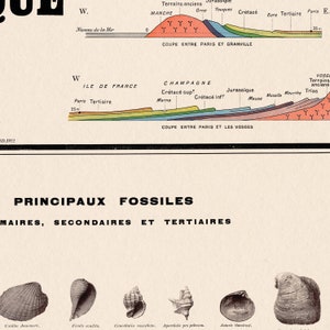 Geological Vintage Chart Print, Geology & Fossils Timeline Poster ...
