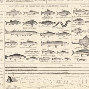 Perfect Fisherman - Vintage Fishing Chart Print, Wall Art Home Gift - Etsy