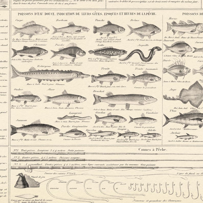 Vintage Fishing Chart Print: 1852 French Fisherman Techniques - Etsy